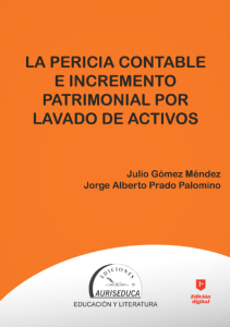 LA PERICIA CONTABLE E INCREMENTO PATRIMONIAL POR LAVADO DE ACTIVOS ...